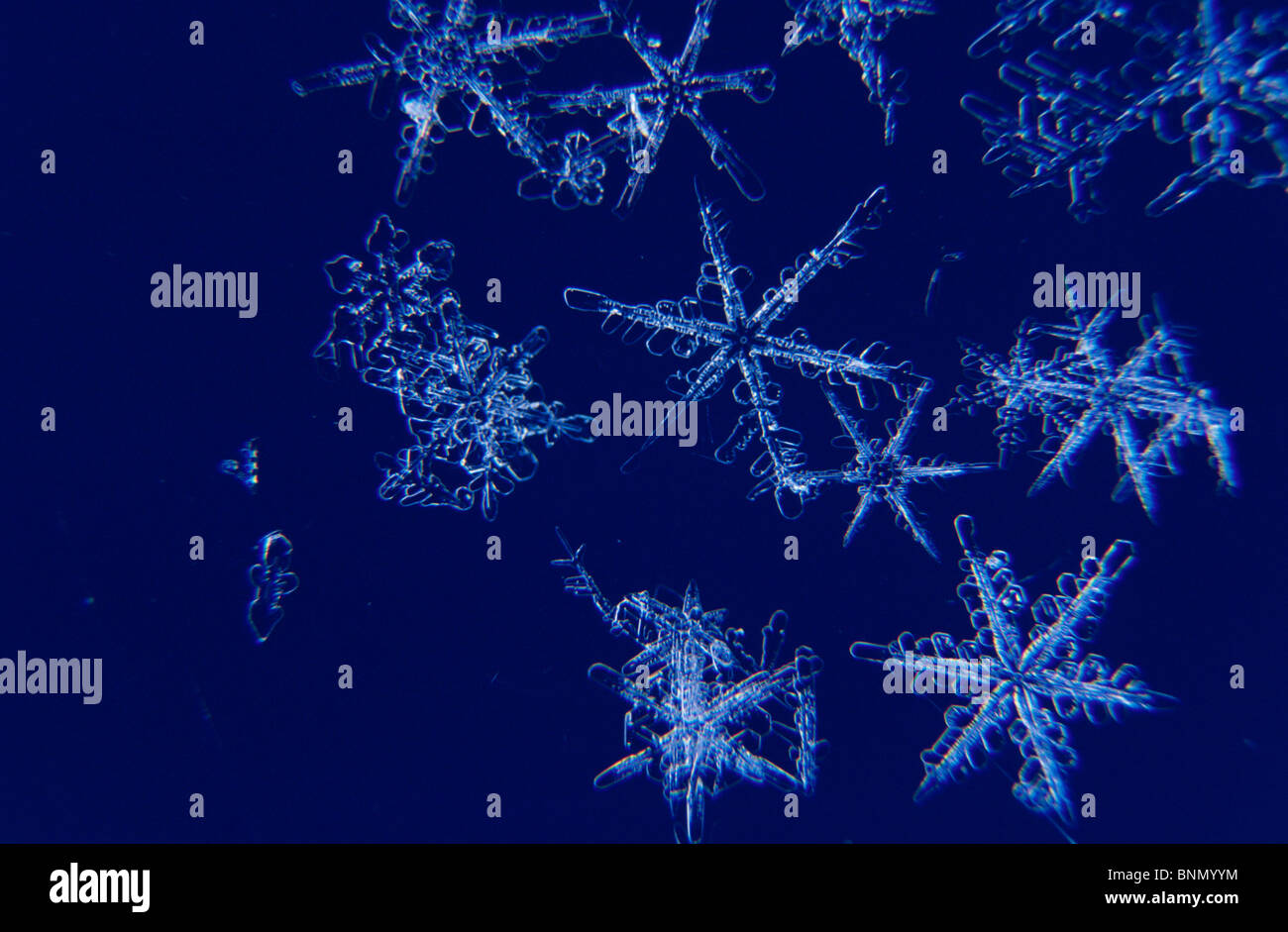Close up snowflakes falling hi-res stock photography and images - Alamy