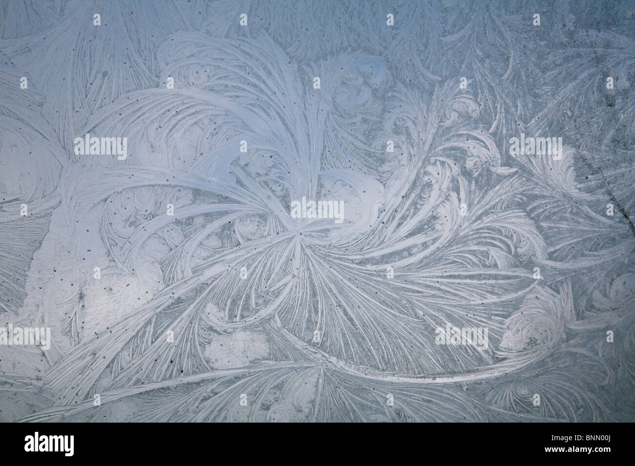 Frosted picture hi-res stock photography and images - Alamy