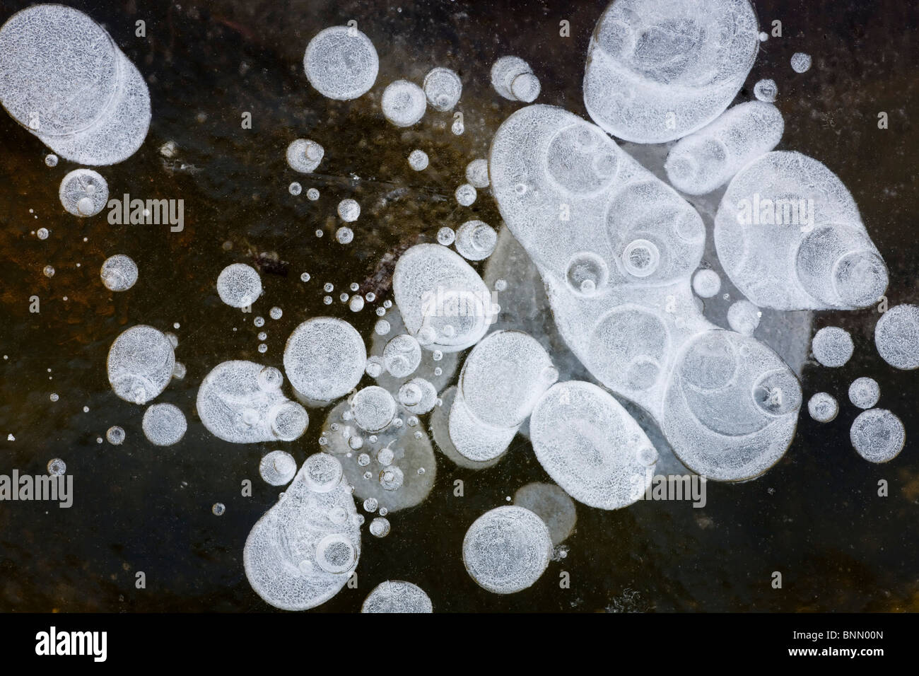 Ice bubbles formed in clear ice at Potter Marsh, Alaska Stock Photo - Alamy