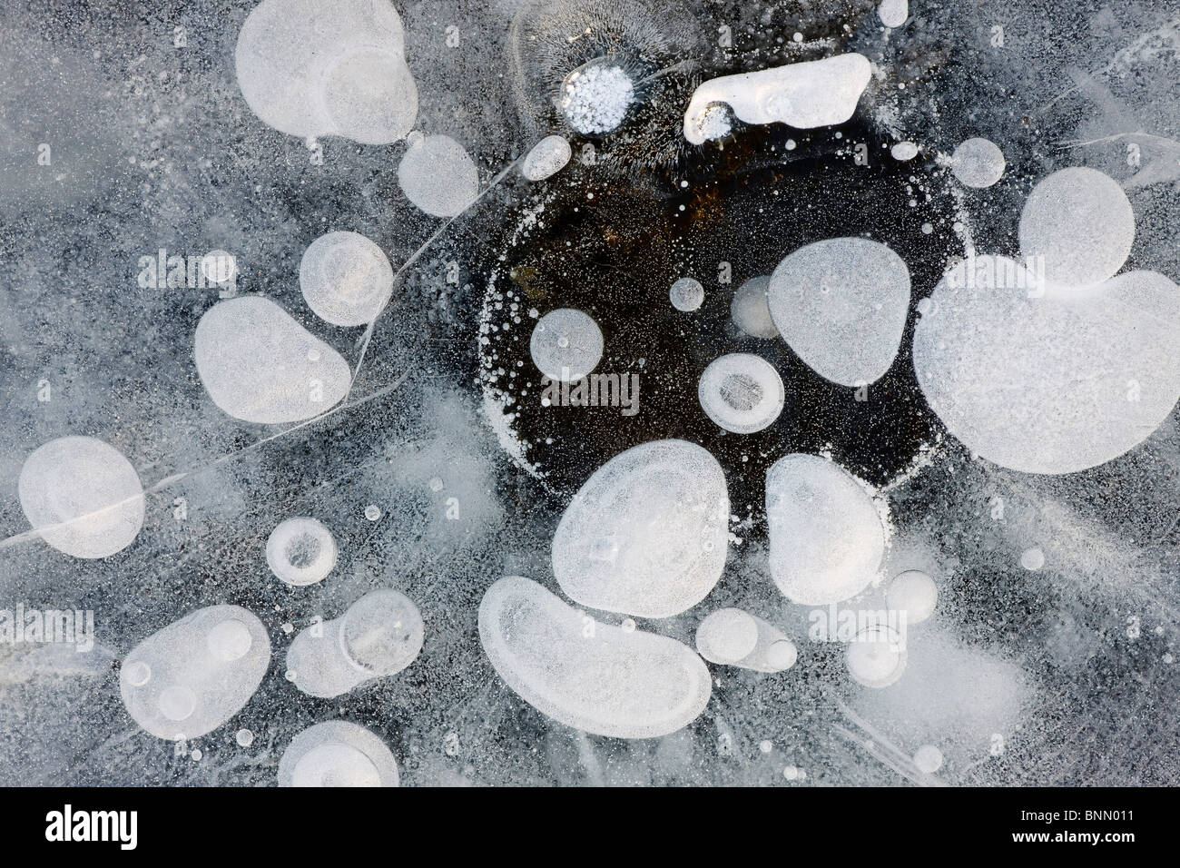 Ice bubbles formed in clear ice at Potter Marsh, Alaska Stock Photo - Alamy