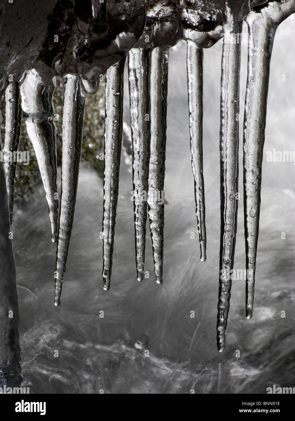 Hanging icicles over stream, Eagle River, Alaska Stock Photo - Alamy