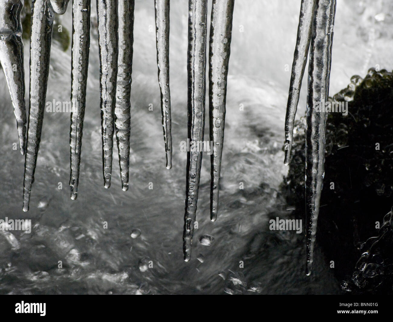 Hanging icicles over stream, Eagle River, Alaska Stock Photo - Alamy