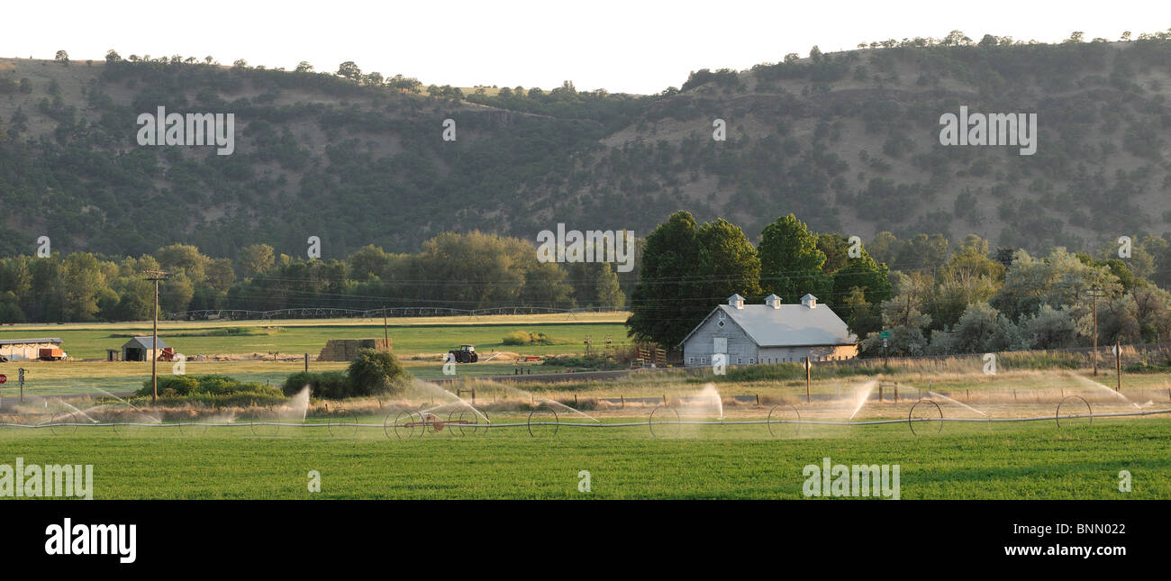 Tygh Valley High Resolution Stock Photography and Images - Alamy