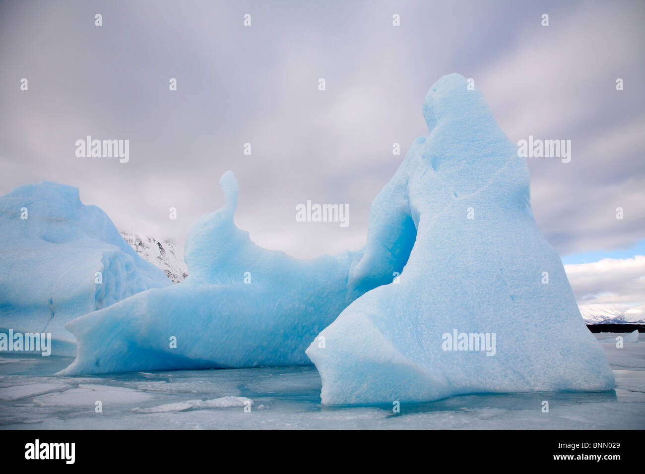Iceberg in Lake George, Alaska Stock Photo - Alamy