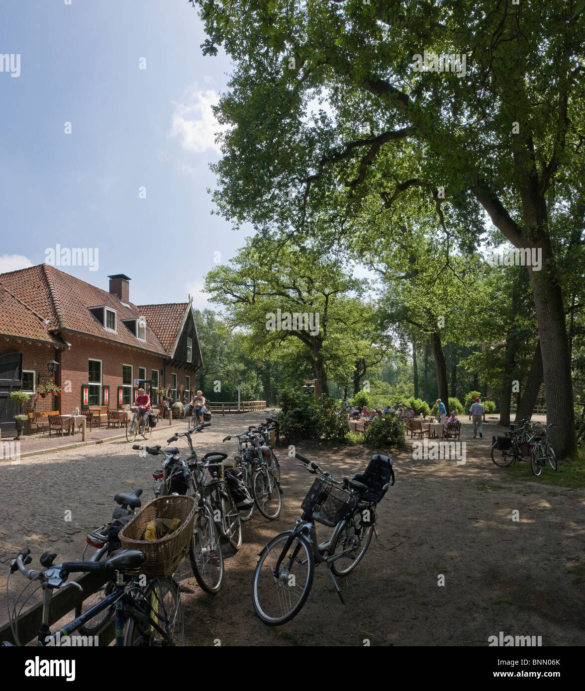 Netherlands Holland Overijssel Denekamp House Forest Wood Trees Summer ...