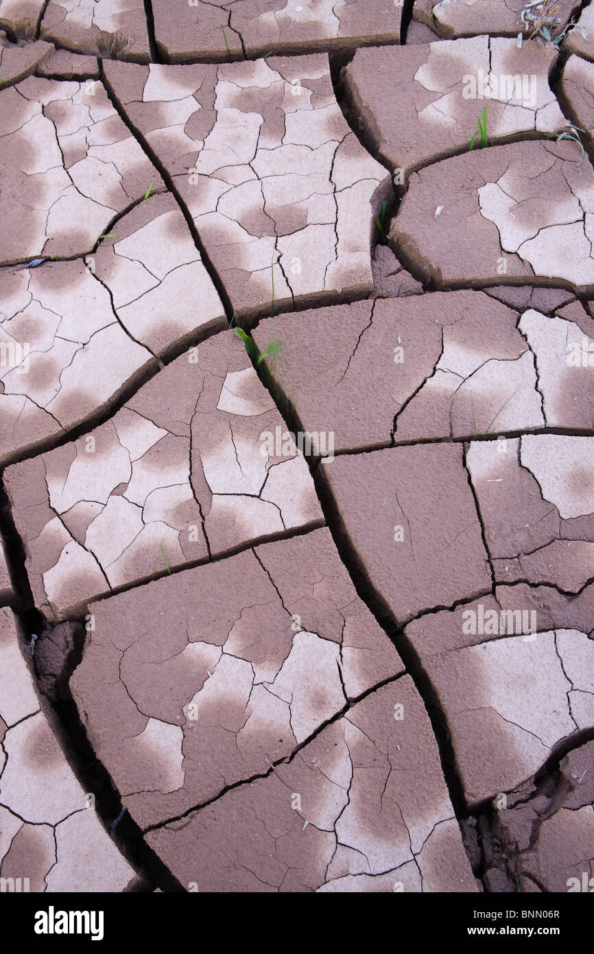 Dried, cracked mud along the Glenn Highway by Sheep Mountain, Alaska ...