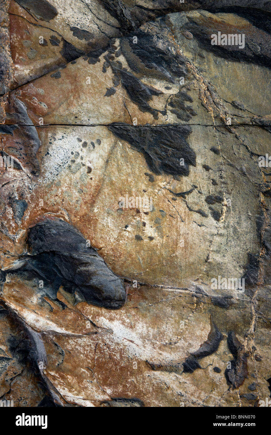 Glacial scaring patterns on rocks Stock Photo - Alamy
