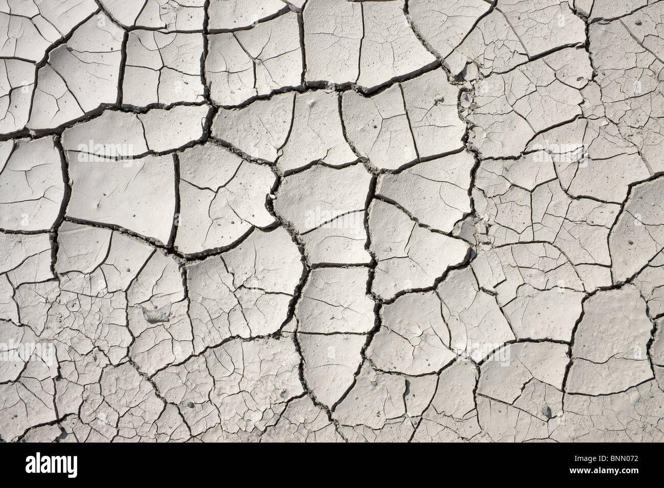 Glenn close the natural hi-res stock photography and images - Alamy