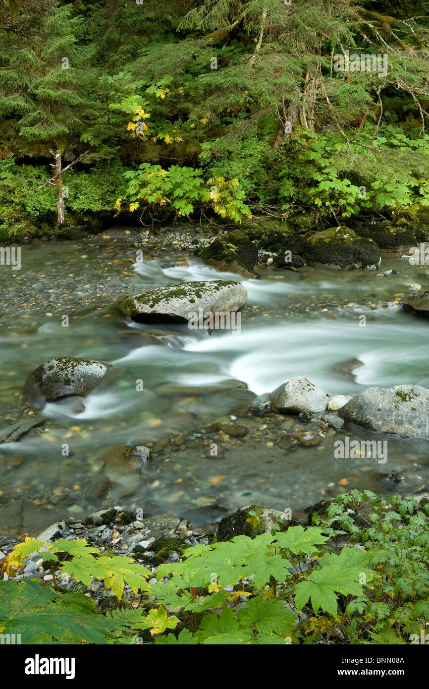Small mountain stream in Tongass National Forest, Alaska Stock Photo ...