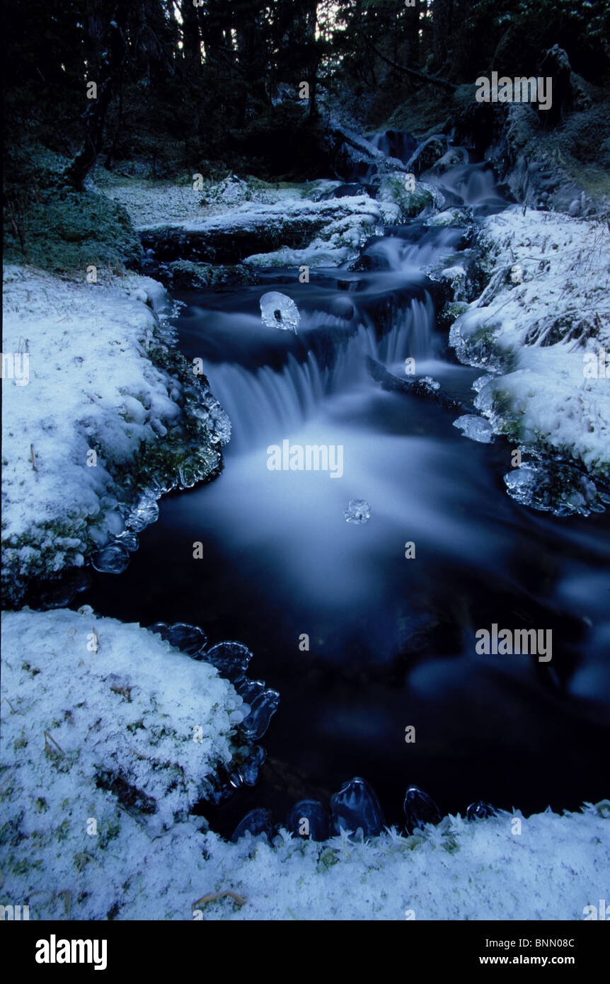 Small Icy Stream at Turnagain Pass KP Alaska Winter Stock Photo - Alamy