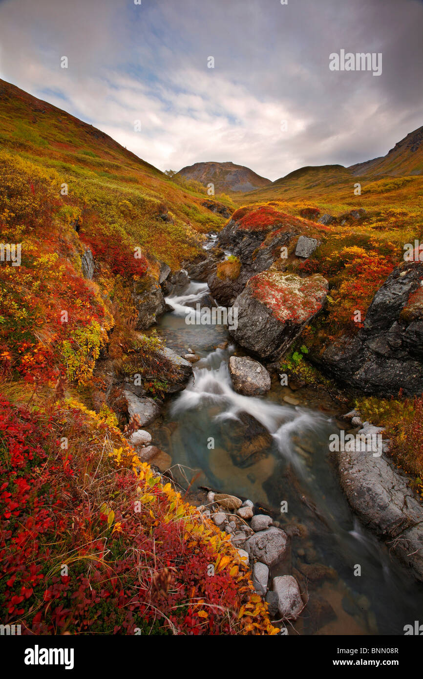 Small stream through the fall colored tundra in Hatcher Pass, Alaska ...