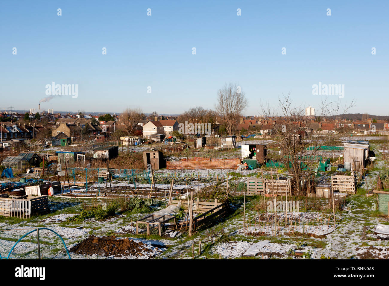 London allotment in winter Stock Photo - Alamy
