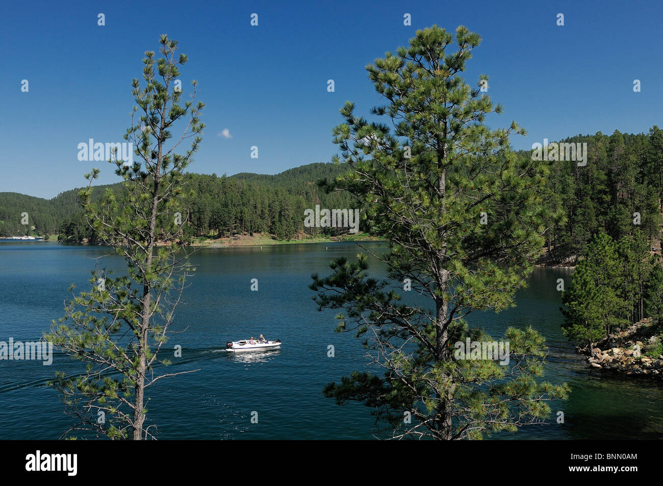 Pactola Lake Black Hills South Dakota USA lake boat Stock Photo - Alamy