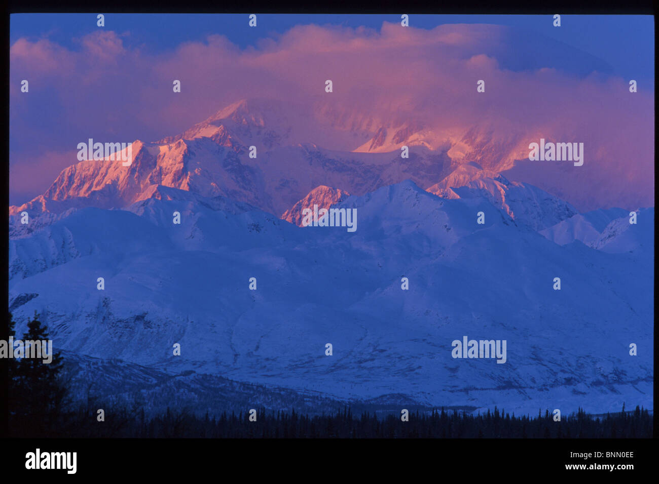 Mt McKinley w/ alpenglow Denali Natl Park Interior AK spring scenic ...