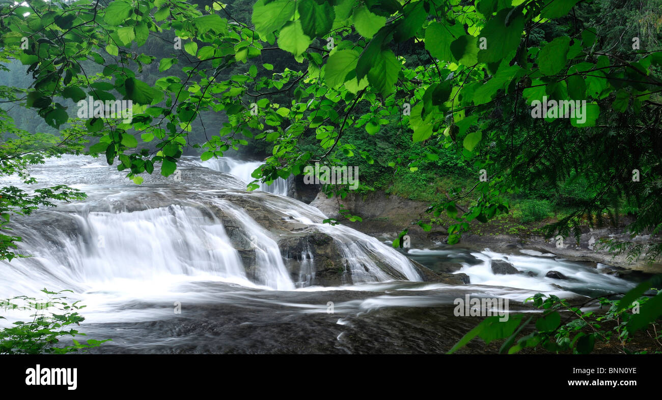 Middle Falls Waterfall Lewis River Falls Gifford Pinchot National ...
