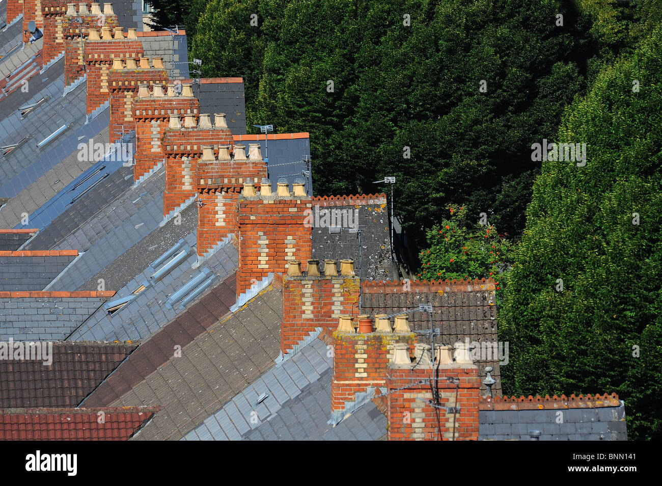 A row of chimneys on rooftops of terraced housing in Cardiff Stock ...