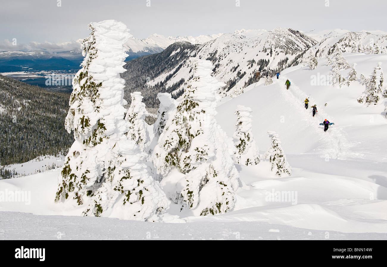 Backcountry skiers climb a hill with rime ice covered tree in the ...