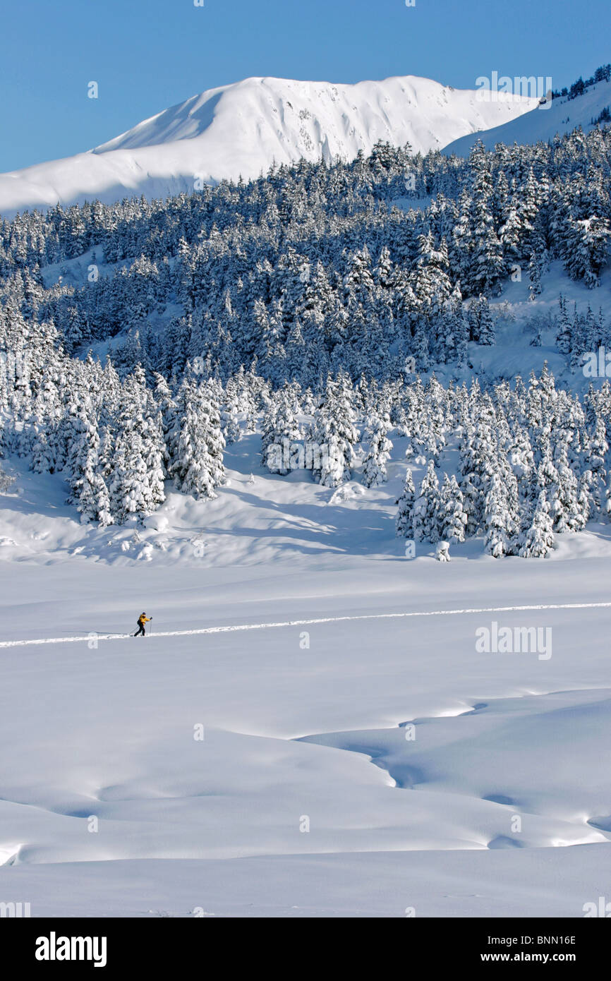 Cross Country skier in Turnagain Pass on the Kenai Peninsula, Chugach ...