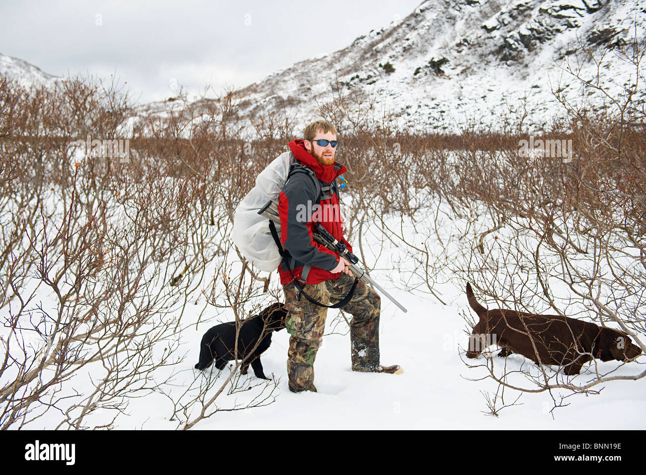 Black lab hunting hi-res stock photography and images - Alamy