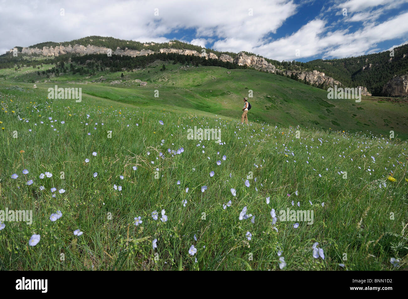 Tongue river canyon wyoming hi-res stock photography and images - Alamy