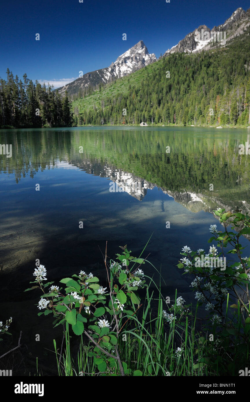 String Lake Teton Mountain Range Grand Teton National Park Wyoming USA ...