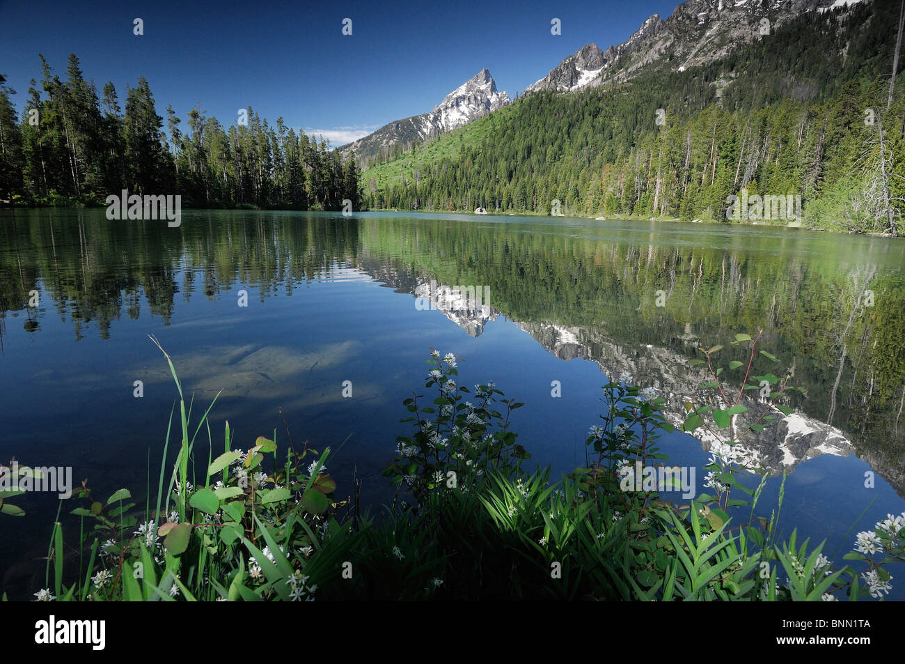 String Lake Teton Mountain Range Grand Teton National Park Wyoming USA ...