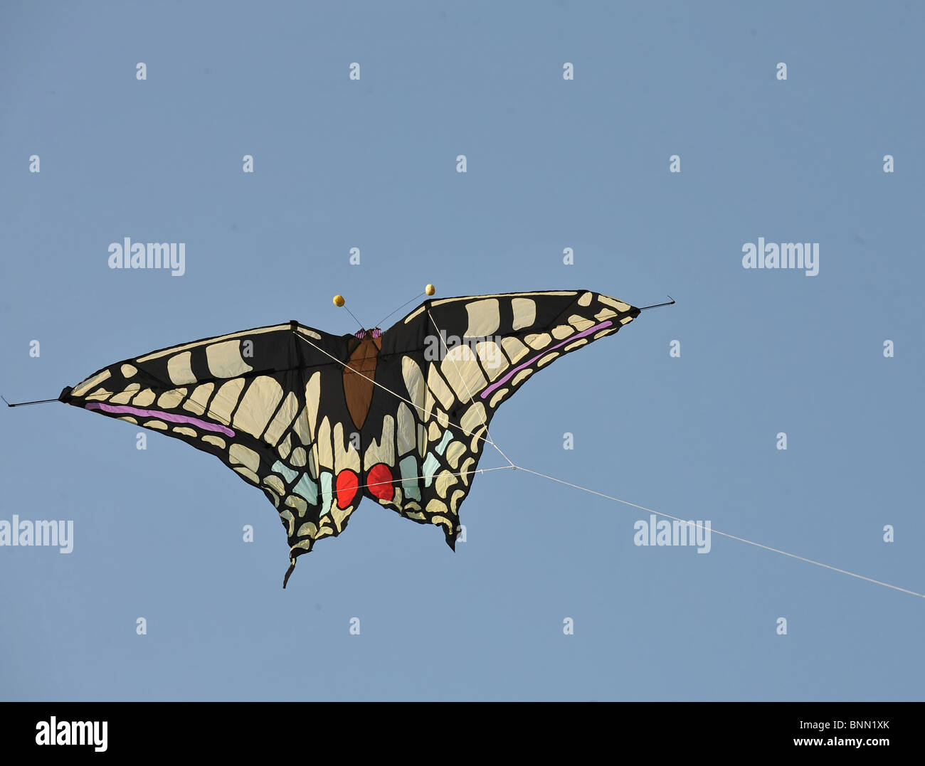 Hobby dragon kite fly butterfly string toys hang gliding Stock Photo ...