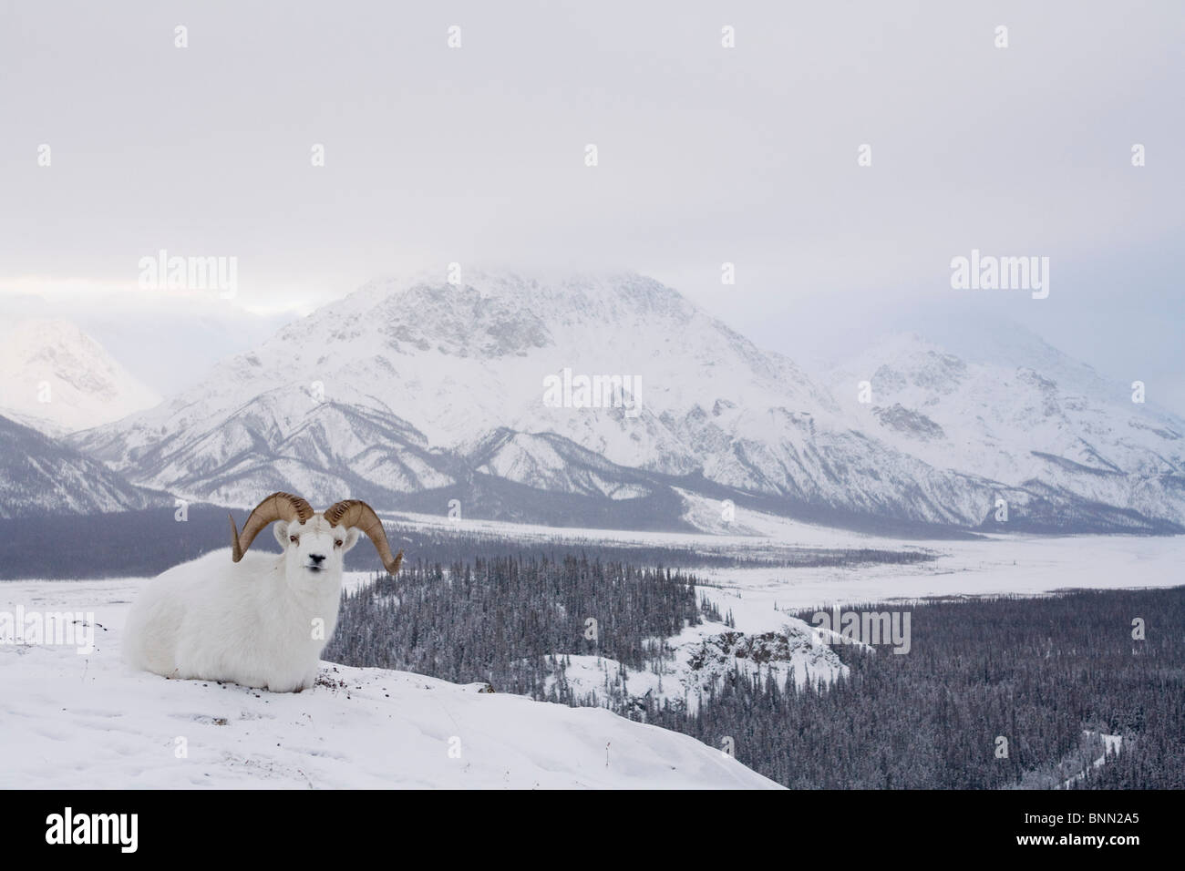 Slims river valley hi-res stock photography and images - Alamy