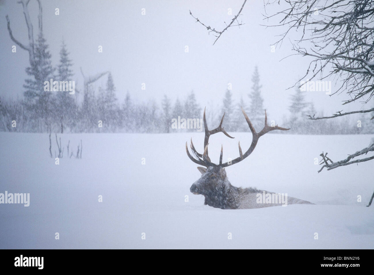 112407x hi-res stock photography and images - Alamy