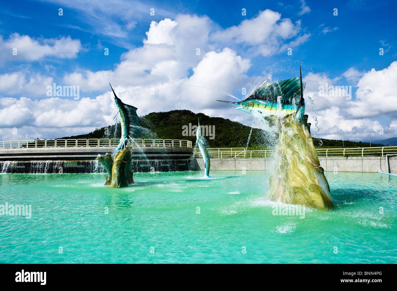 Pacific Water Plaza, National Museum of Marine Biology & Aquarium ...
