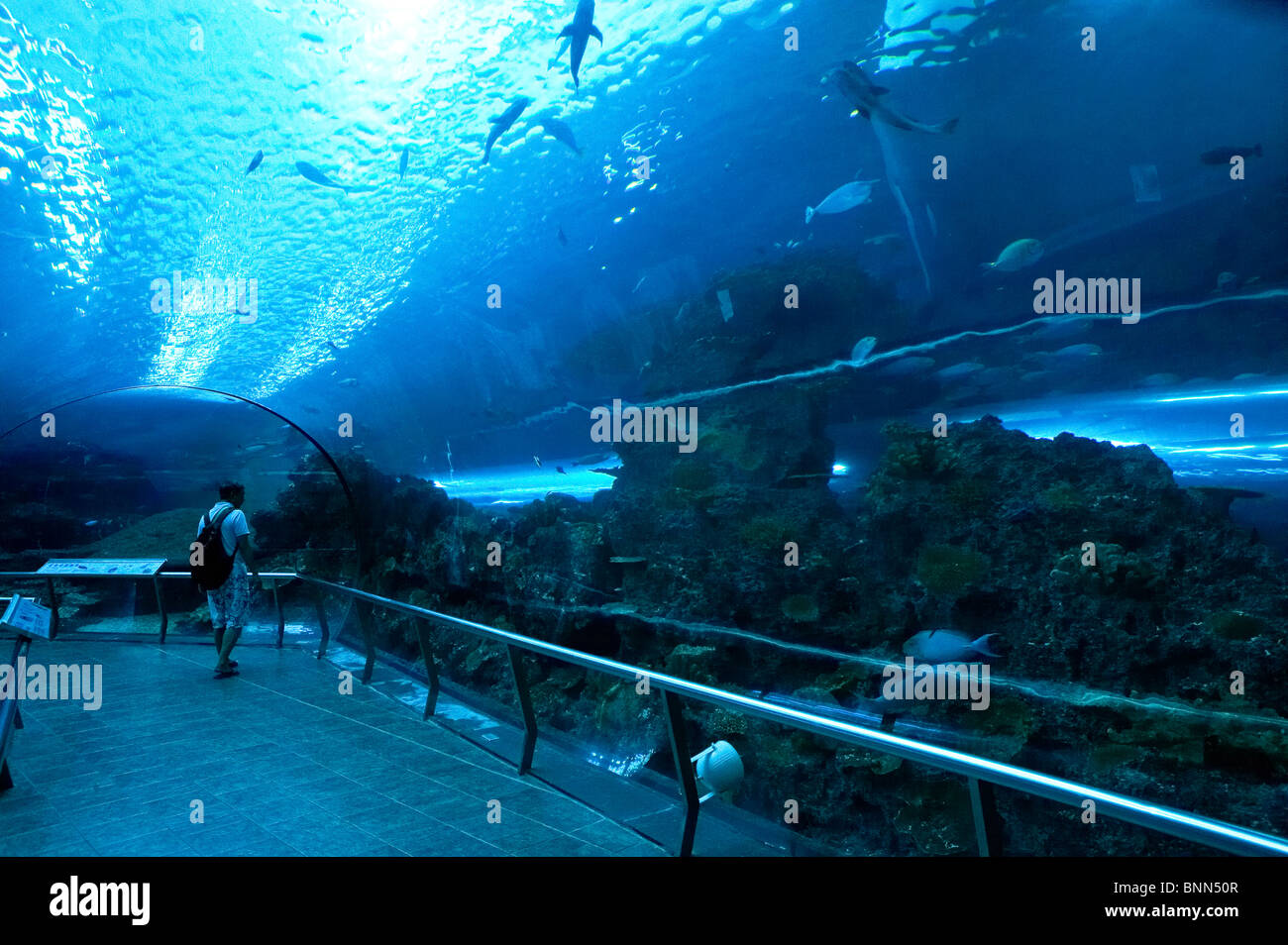 National Museum Of Marine Biology And Aquarium