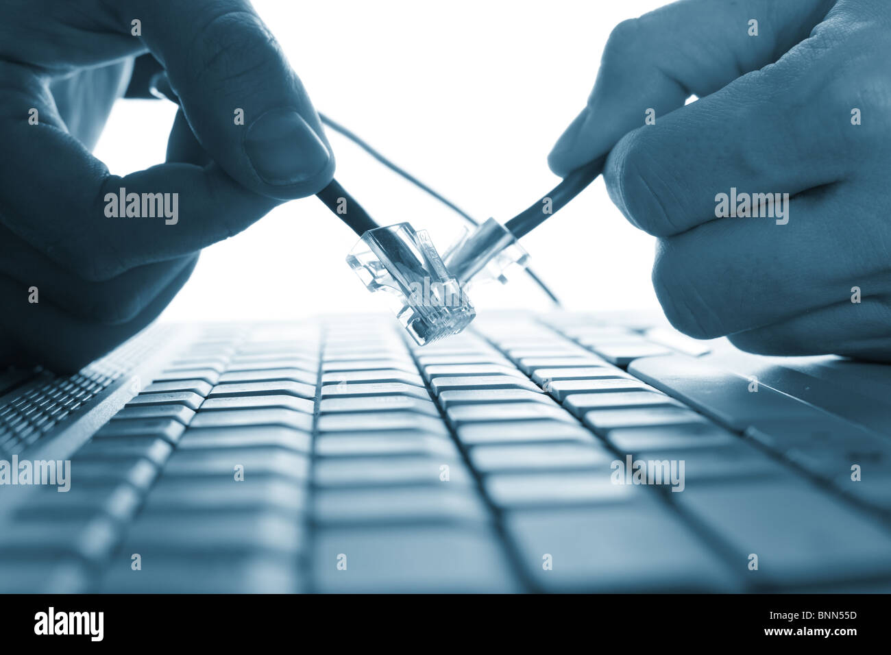 network and patch cables Stock Photo - Alamy