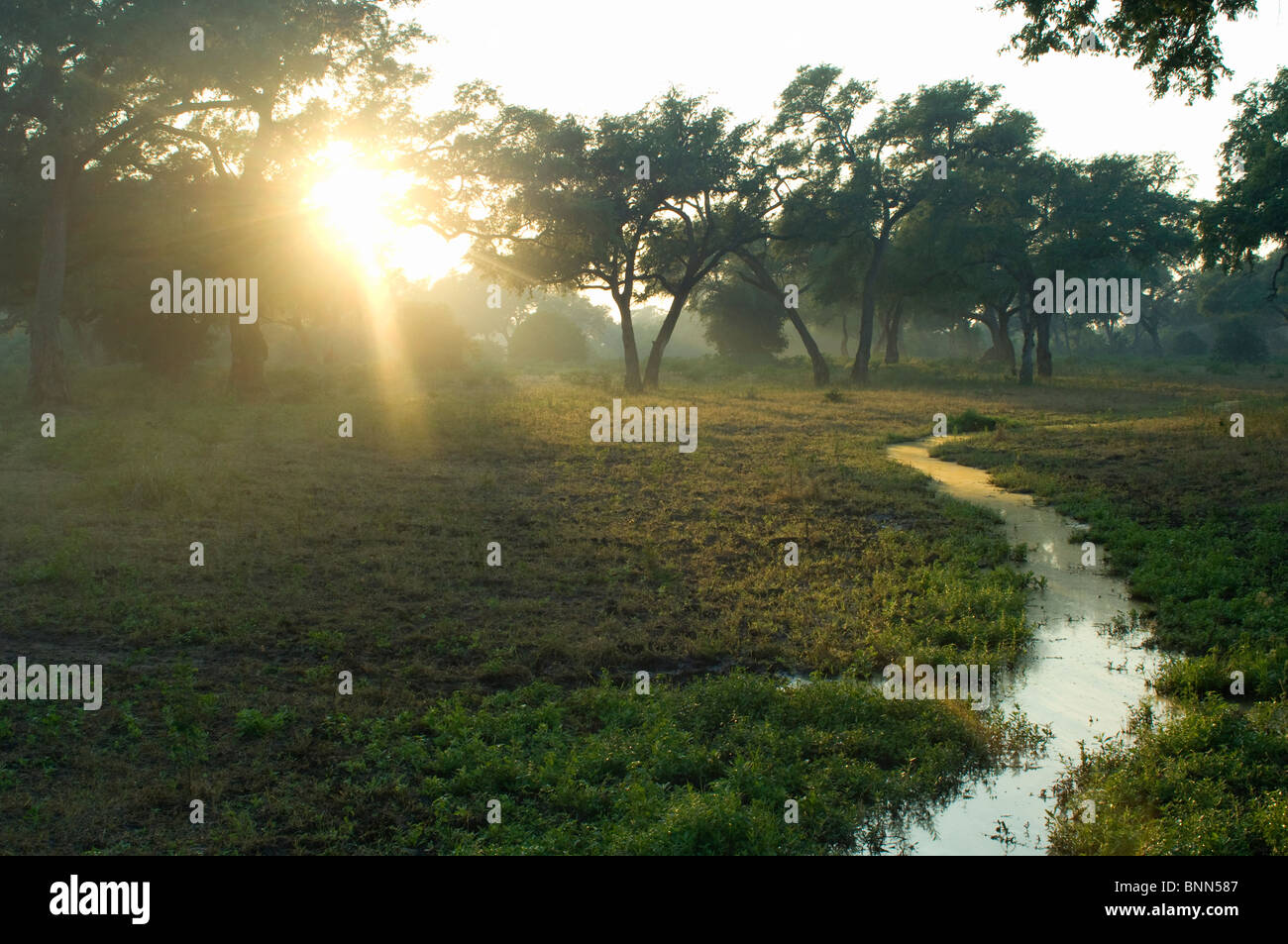 Stunning landscape of Zimbabwe's Mana Pools National Park Stock Photo ...