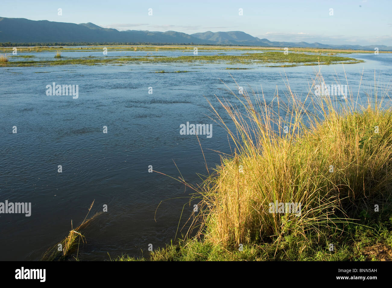 Stunning landscape from Zimbabwe's Mana Pools National Park Stock Photo ...