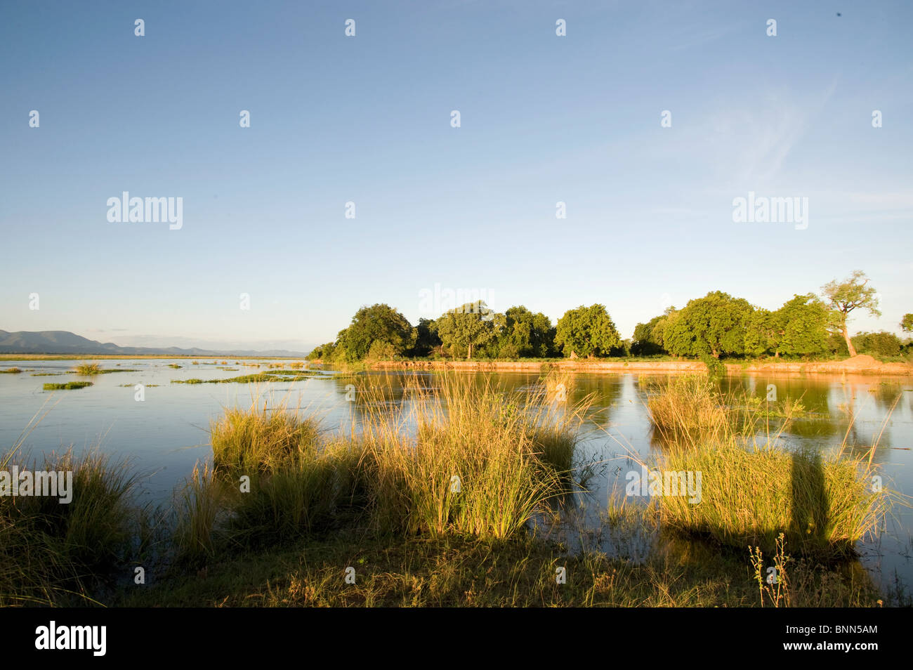Stunning landscape from Zimbabwe's Mana Pools National Park Stock Photo ...