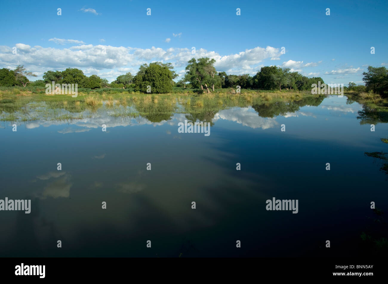 Stunning landscape from Zimbabwe's Mana Pools National Park Stock Photo ...