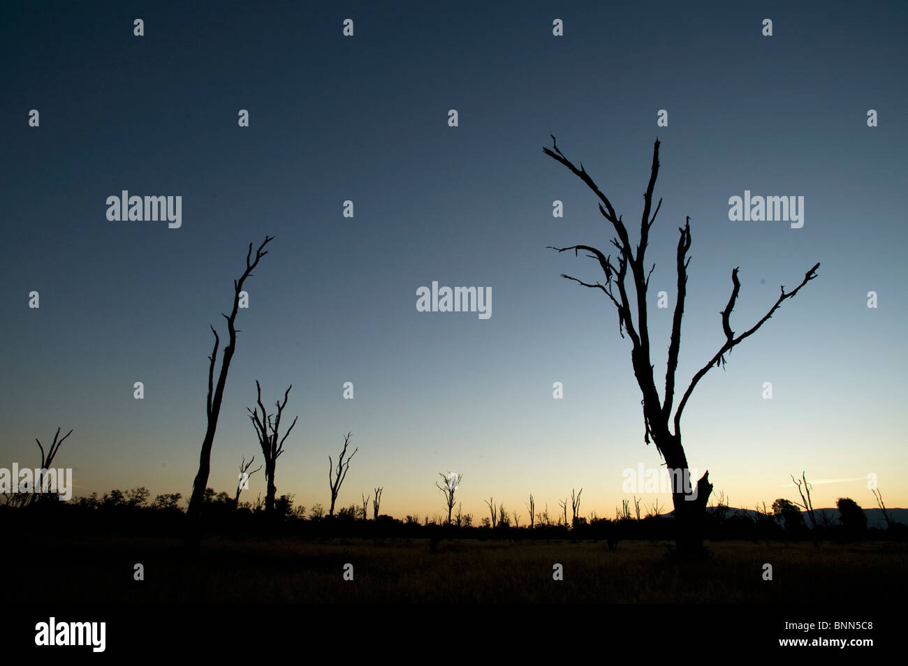 Stunning landscape from Zimbabwe's Mana Pools National Park Stock Photo ...