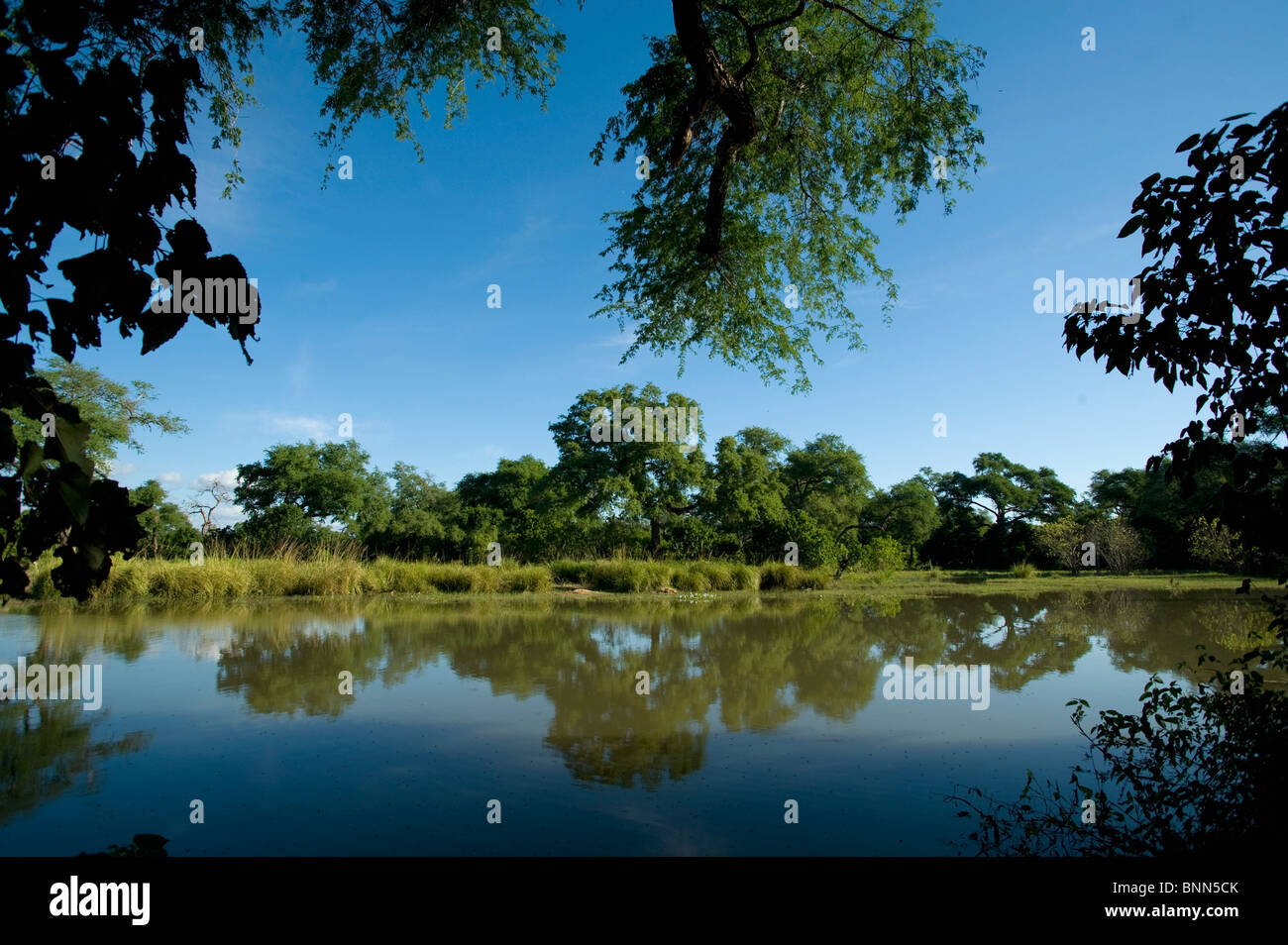 Stunning landscape from Zimbabwe's Mana Pools National Park Stock Photo ...