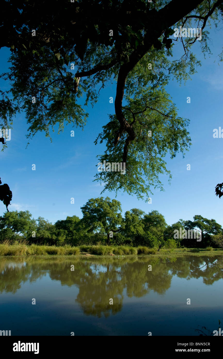 Stunning landscape from Zimbabwe's Mana Pools National Park Stock Photo ...