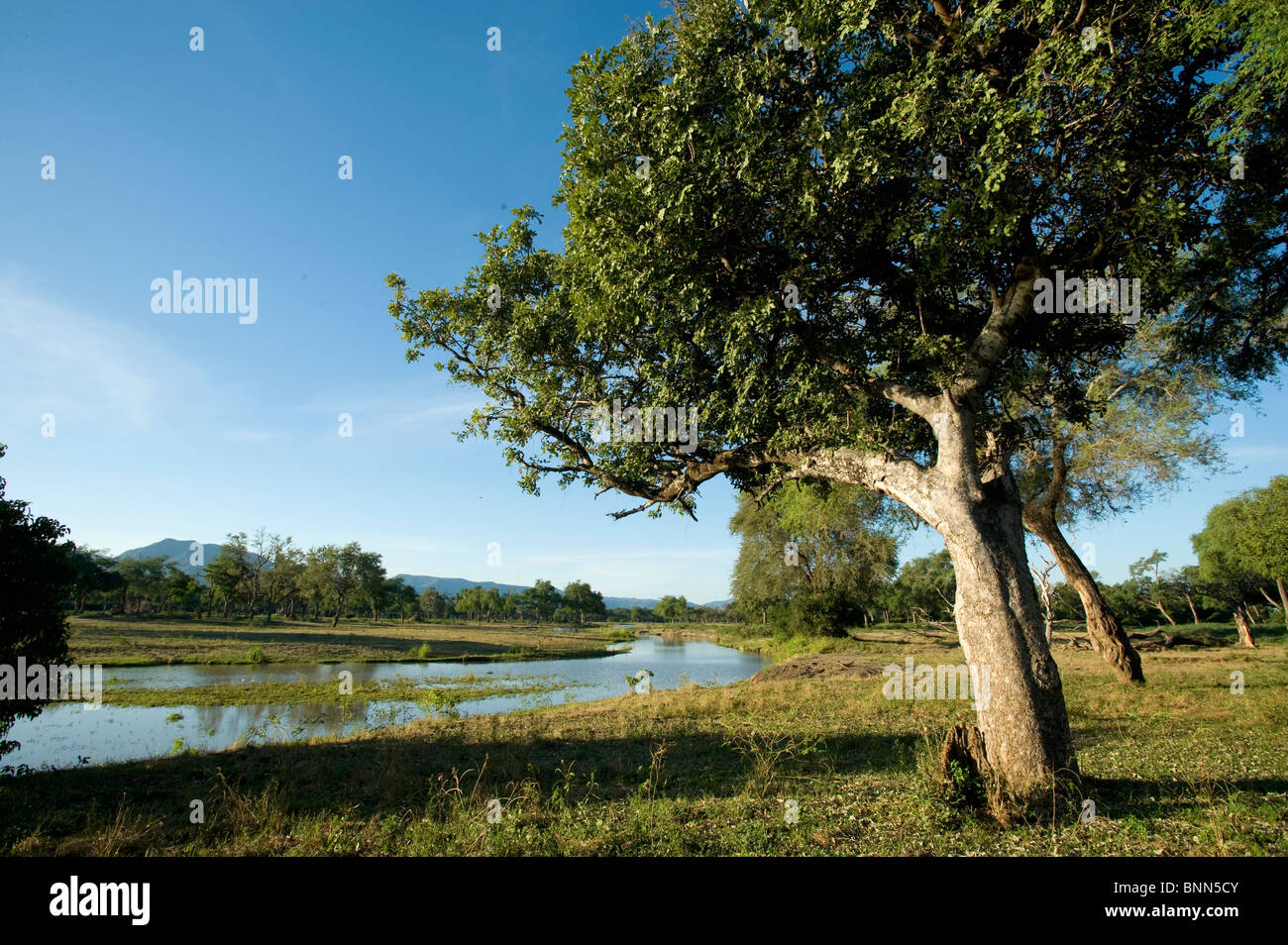 Stunning landscape from Zimbabwe's Mana Pools National Park Stock Photo ...