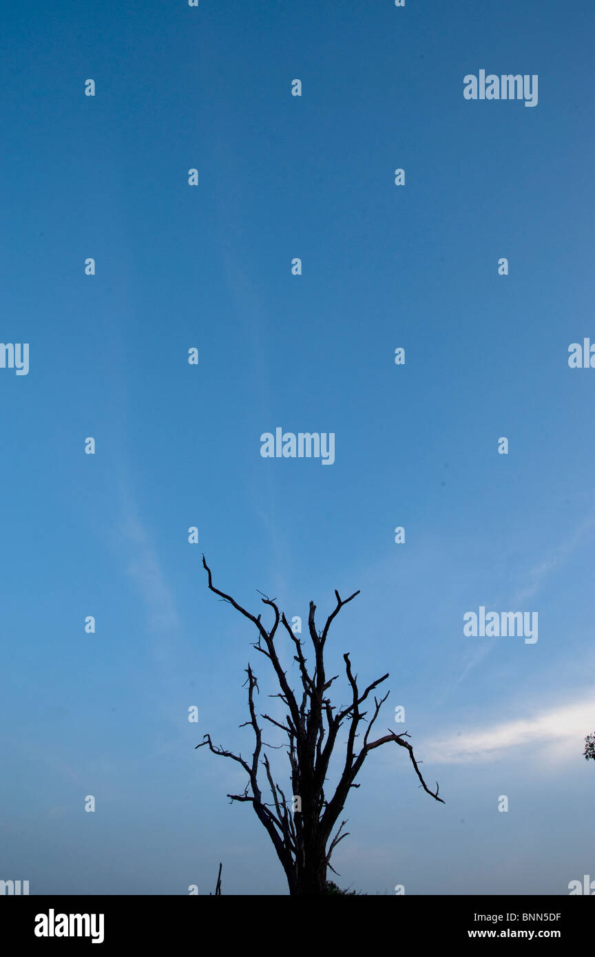 Stunning landscape from Zimbabwe's Mana Pools National Park Stock Photo ...