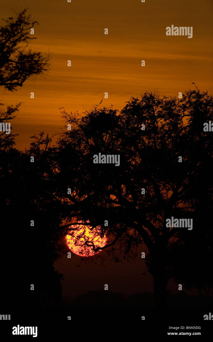 Stunning landscape from Zimbabwe's Mana Pools National Park Stock Photo ...