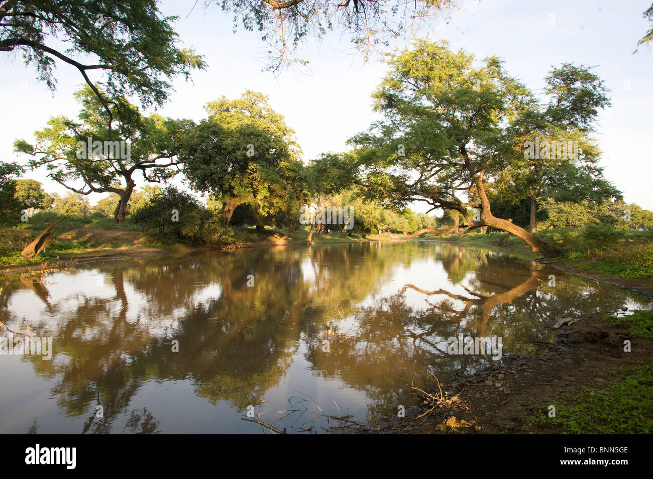 Stunning landscape of Zimbabwe's Mana Pools National Park Stock Photo ...