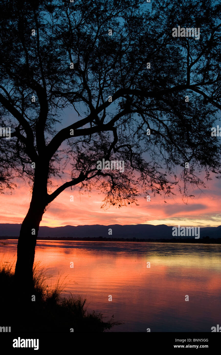 Stunning landscape of Zimbabwe's Mana Pools National Park Stock Photo ...
