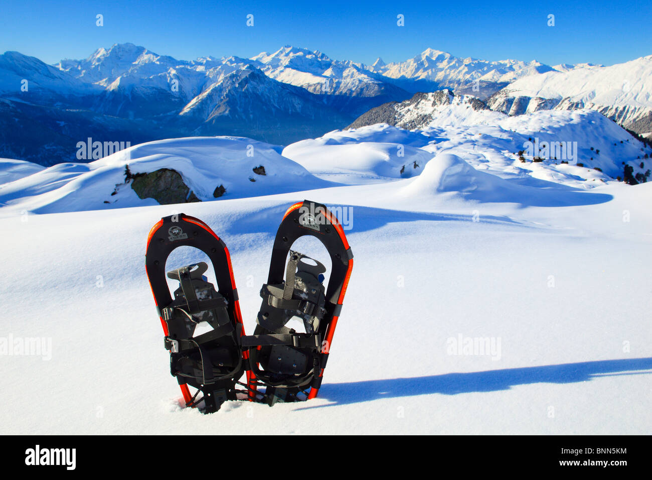 Activity Aletsch Aletsch area Alps Alpine panorama Alphubel view ...