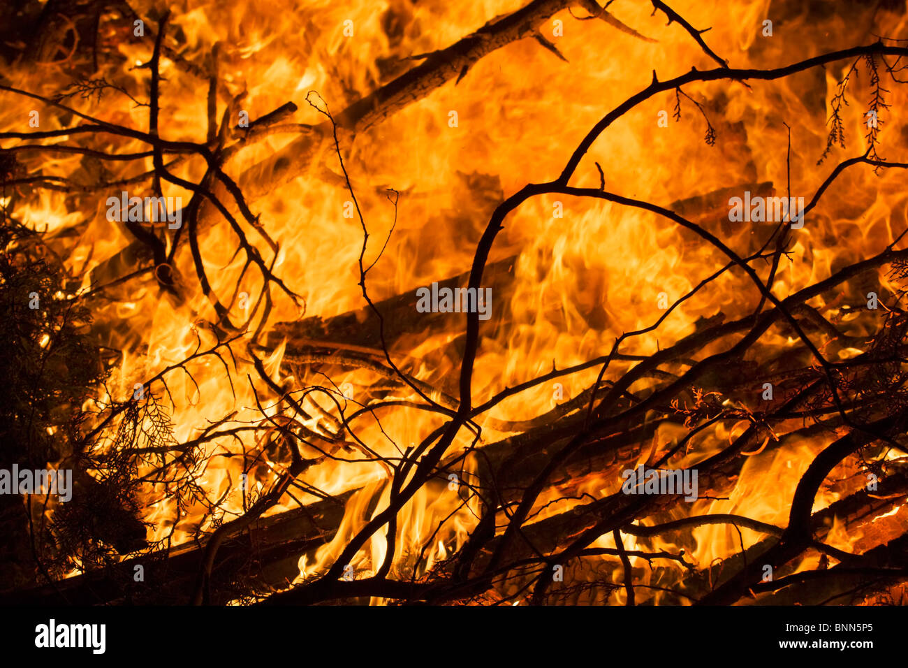Closeup blazing fire dry forest hi-res stock photography and images - Alamy