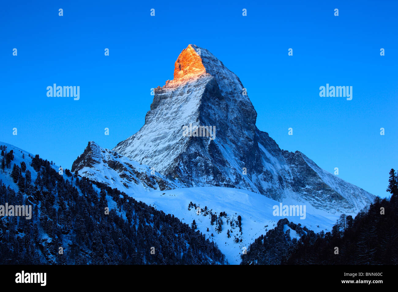 Alps alpine afterglow Alpine panorama view mountain mountain panorama ...