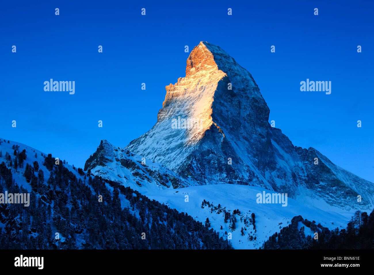 Alps alpine afterglow Alpine panorama view mountain mountain panorama ...