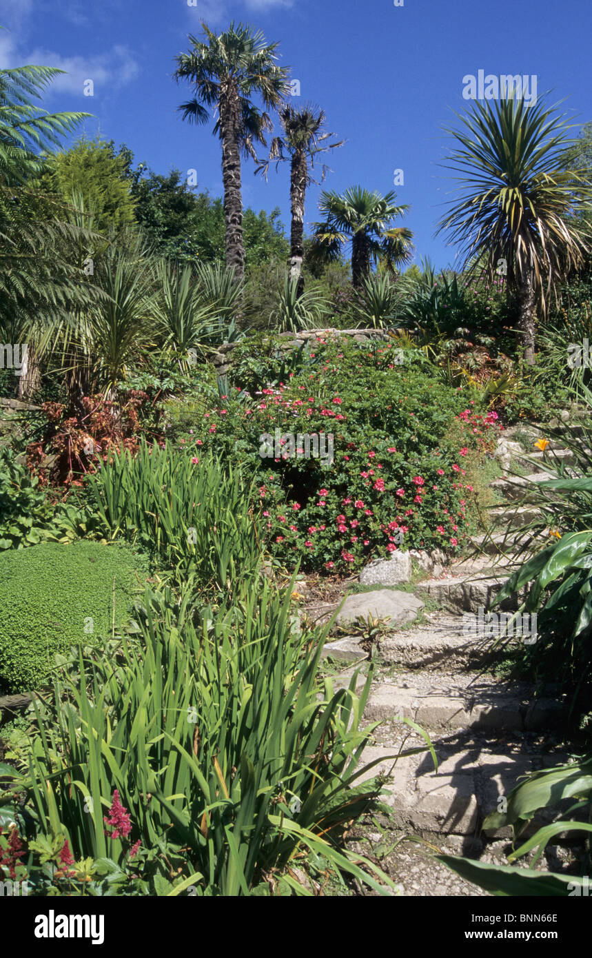 trebah gardens, mawnan smith near falmouth, cornwall, england Stock ...