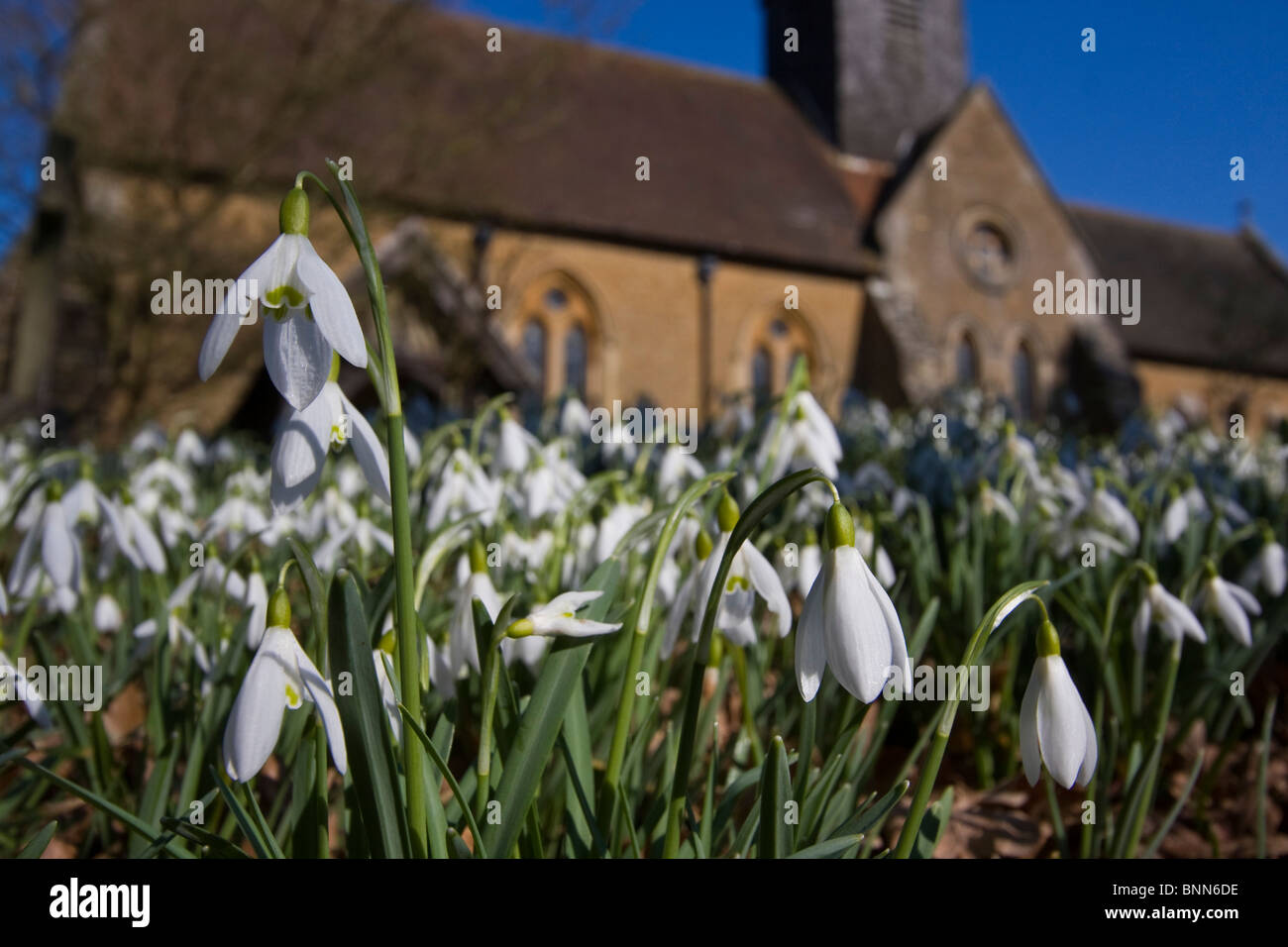 Busbridge church hi-res stock photography and images - Alamy